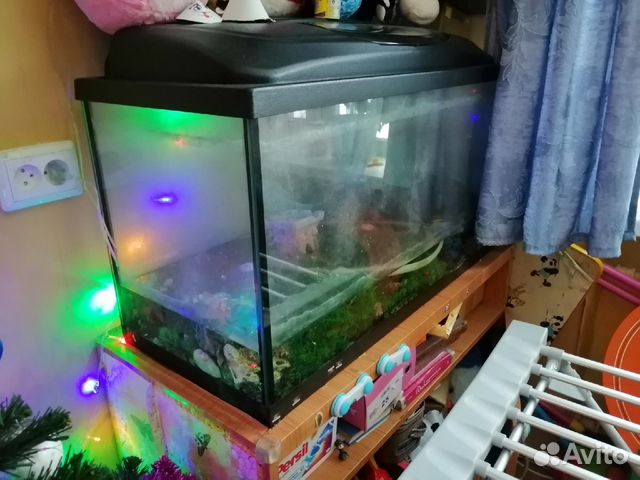 Аквариум