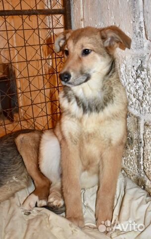 Мадам Брошкина - чёрные бусы