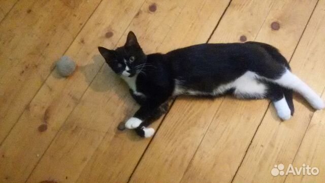 Малышка крошка ласкушка в добрые ручки