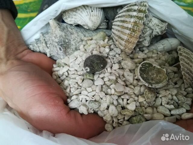 Грунт и декор для аквариума