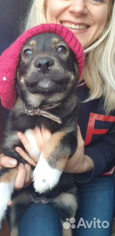 Малышка Кукла ищет Дом