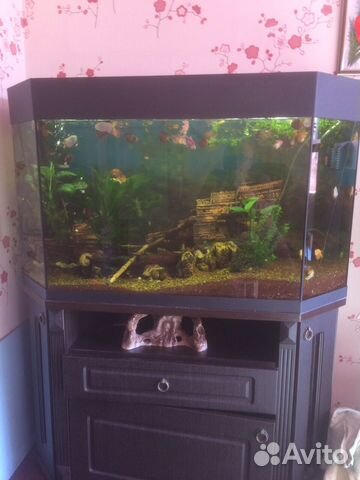 Аквариум 350 л