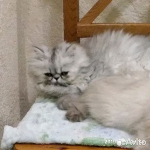 Собираюсь к вам