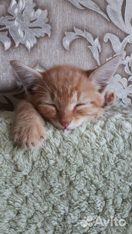 Маленькое солнышко в надежные руки