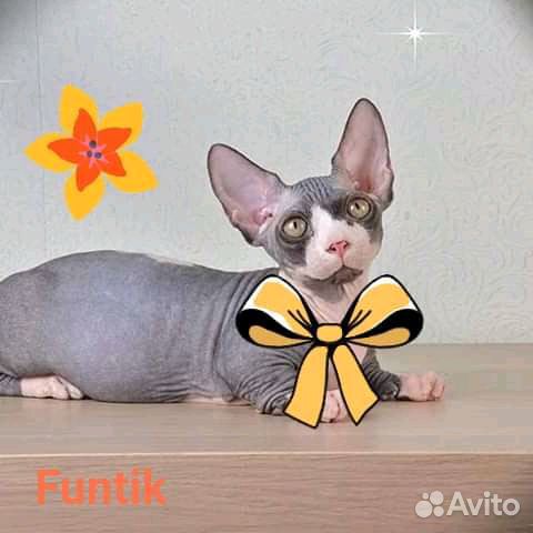 Малыш бамбино