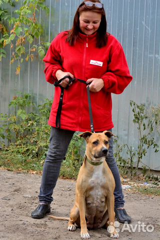 Добрый стаффорд Оливия