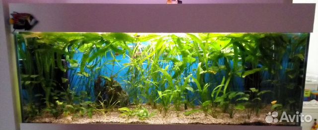 Аквариум 500л