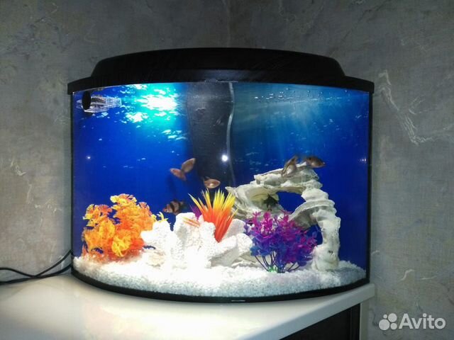 Аквариум угловой 40 л