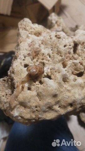 Сухой рифовый камень, срк, морской аквариум