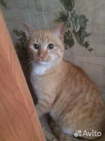 Ричард 6-7 мес