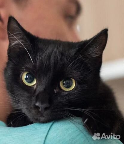 Миниатюрная девочка