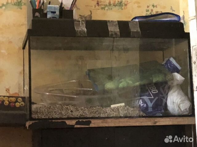 Аквариум 100 л