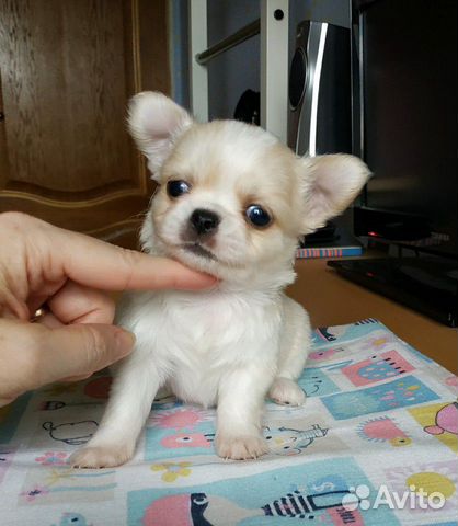 Мальчишечка