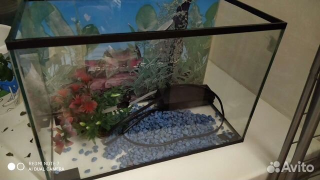 Аквариум