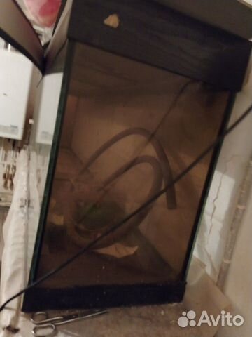 Продаю аквариум