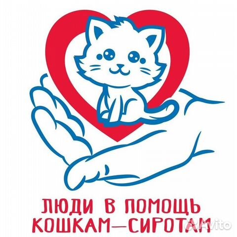 Помощь приюту для кошек