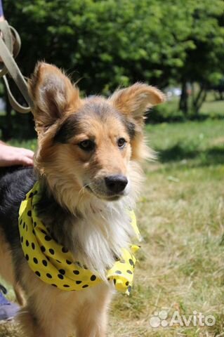 Молодой и красивый угасает за решеткой