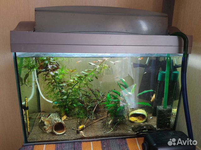 Аквариум tetra 60 литров
