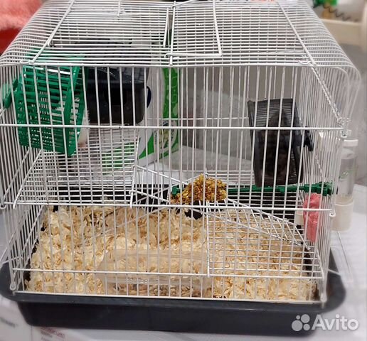 Продам клетку с хомяками