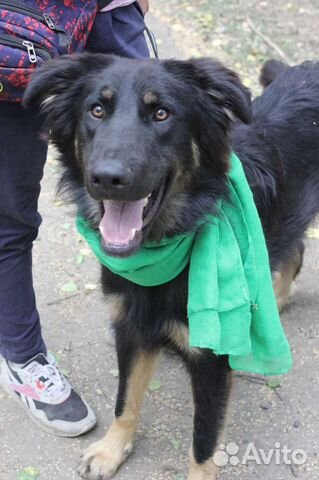 Устал от безразличия, спасите малыша