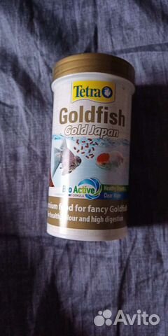 Tetra goldfish gold japan