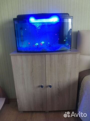 Аквариум с тумбой с рыбками под ключ