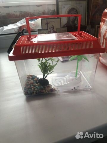 Аквариум для черепахи
