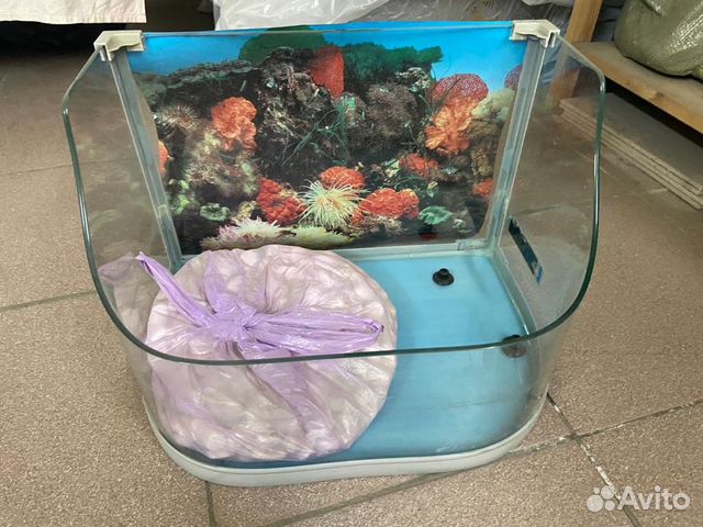 Аквариум для черепах