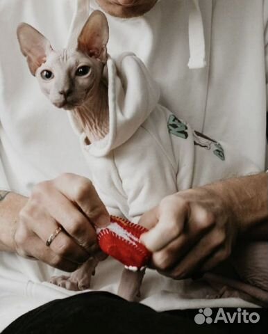 Донской сфинкс вязка