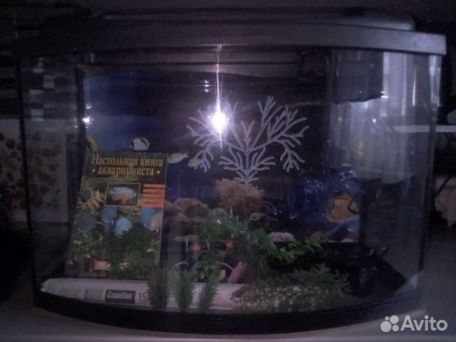 Аквариум