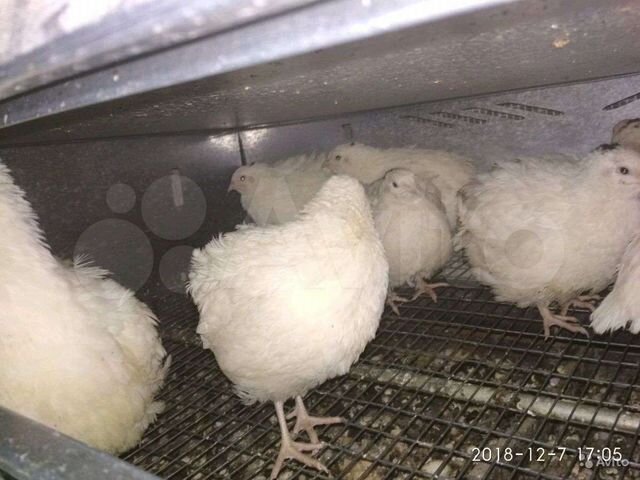 Удобрение