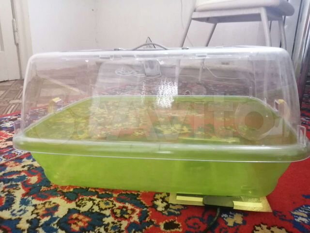 Террариум с пинцетом для рептилий