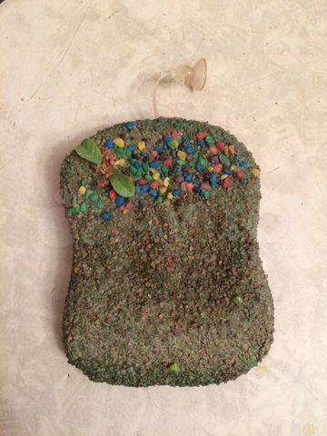 Островок для черепахи